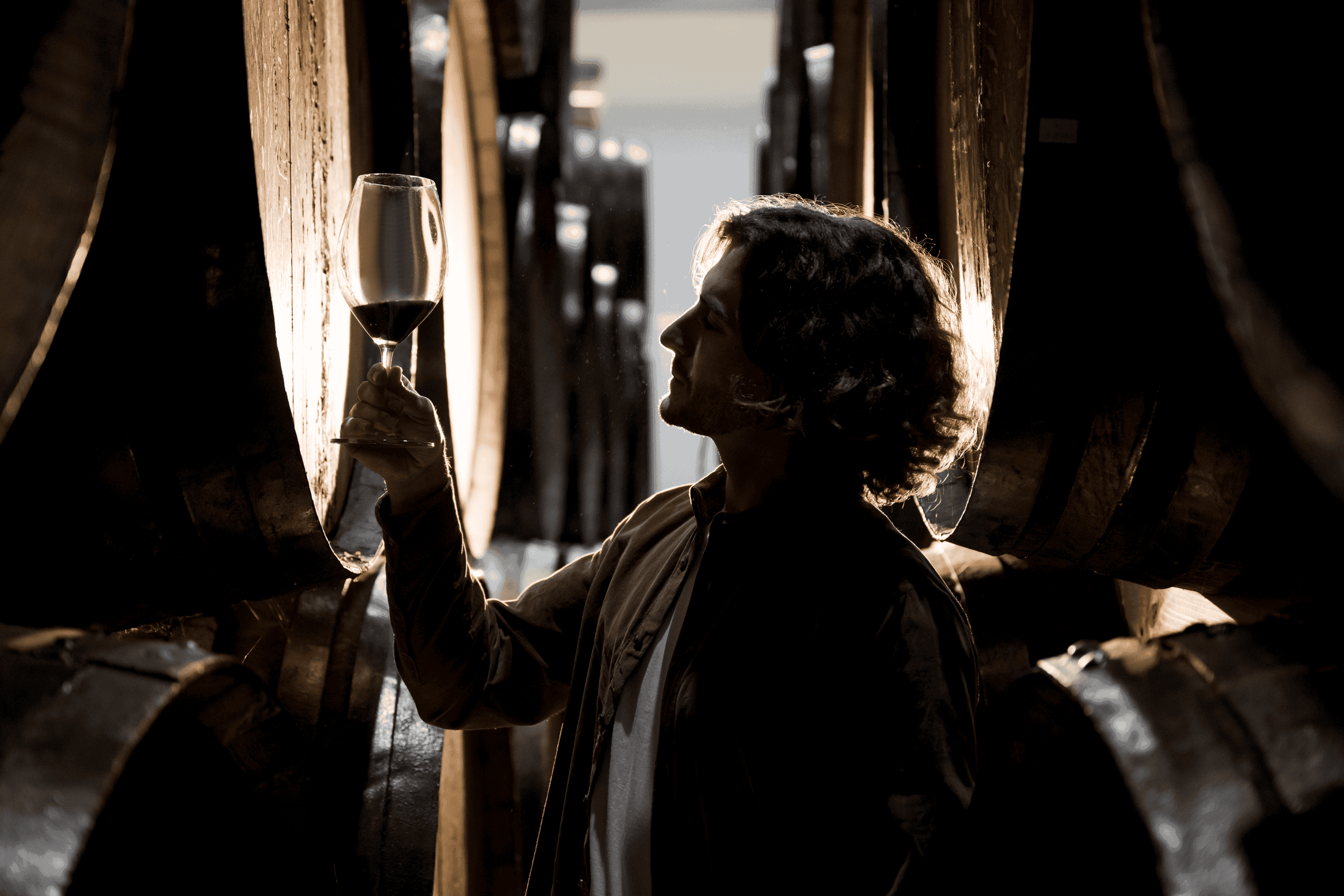 Blockchain technology and its influence on the wine industry