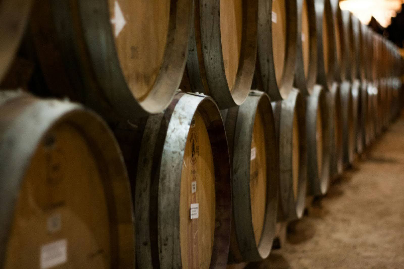 Discover the Science and Methods Behind Wine Aging